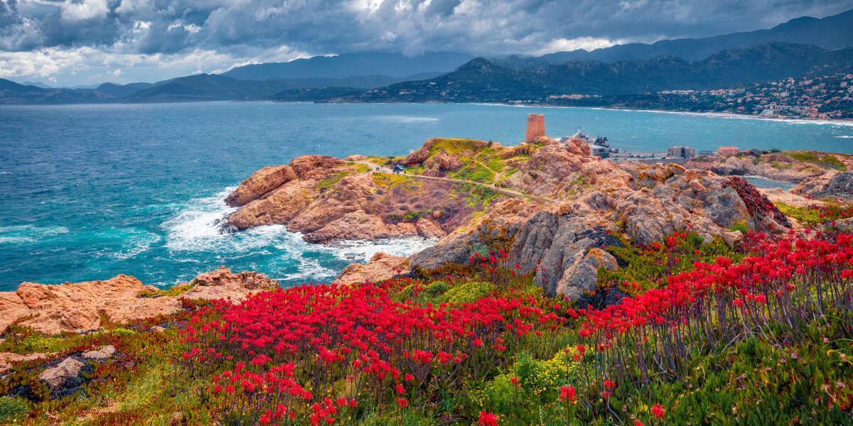 Italy-Corsica Ferry, Tickets, Schedules | Ferryhopper