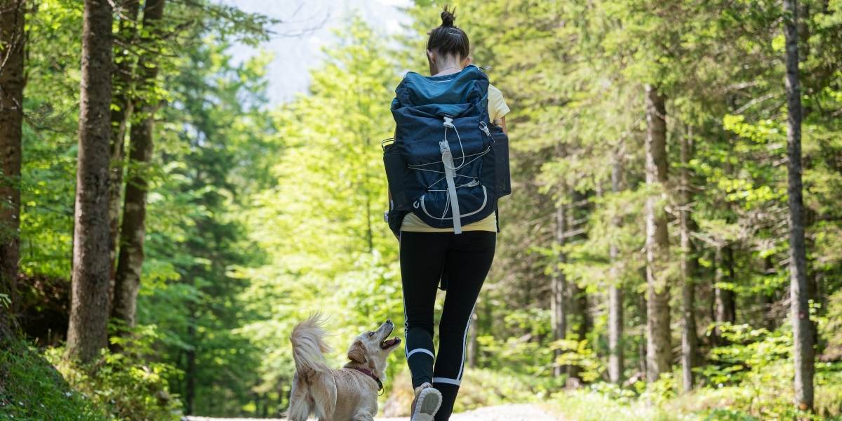 Top 5 Activities With Your Dog in Mallorca | Ferryhopper