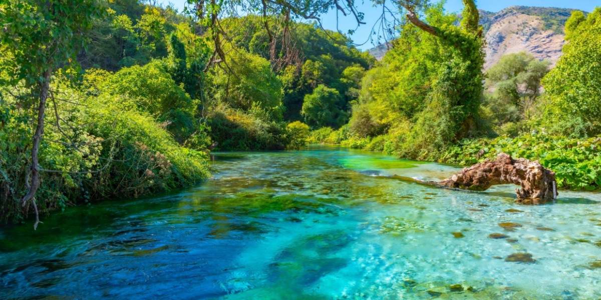 Angebot Star Lines-Fähren Brindisi - Saranda: -20 % | Ferryhopper